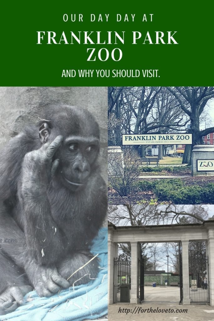 Visiting Franklin Park Zoo And Why You Should Too