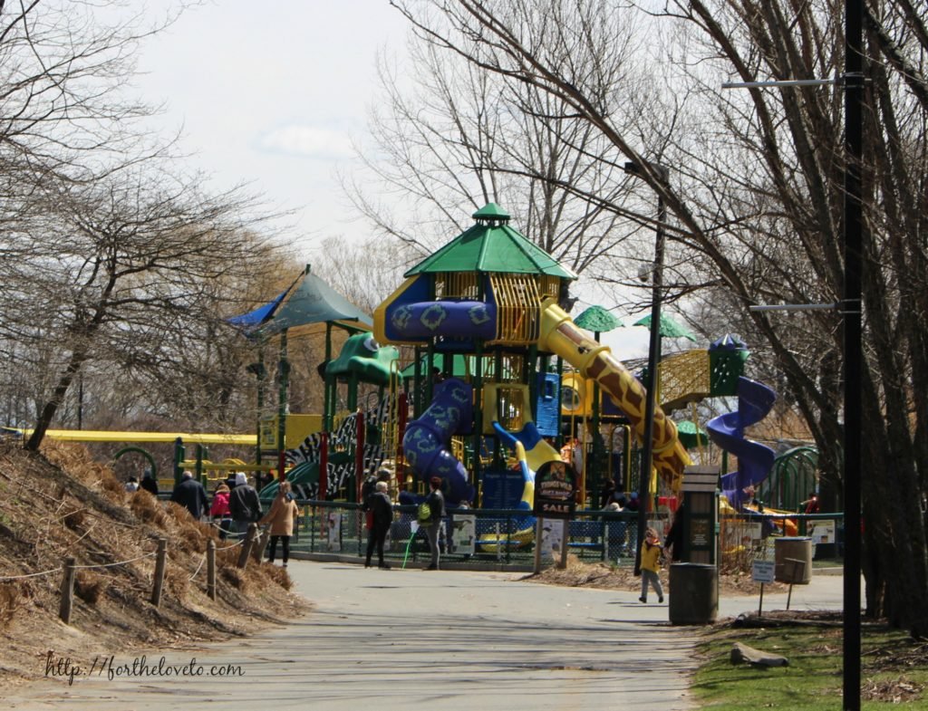 Visiting Franklin Park Zoo And Why You Should Too