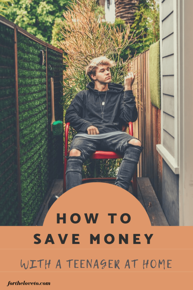 How To Save Money With A Teenager At Home - For The Love To
