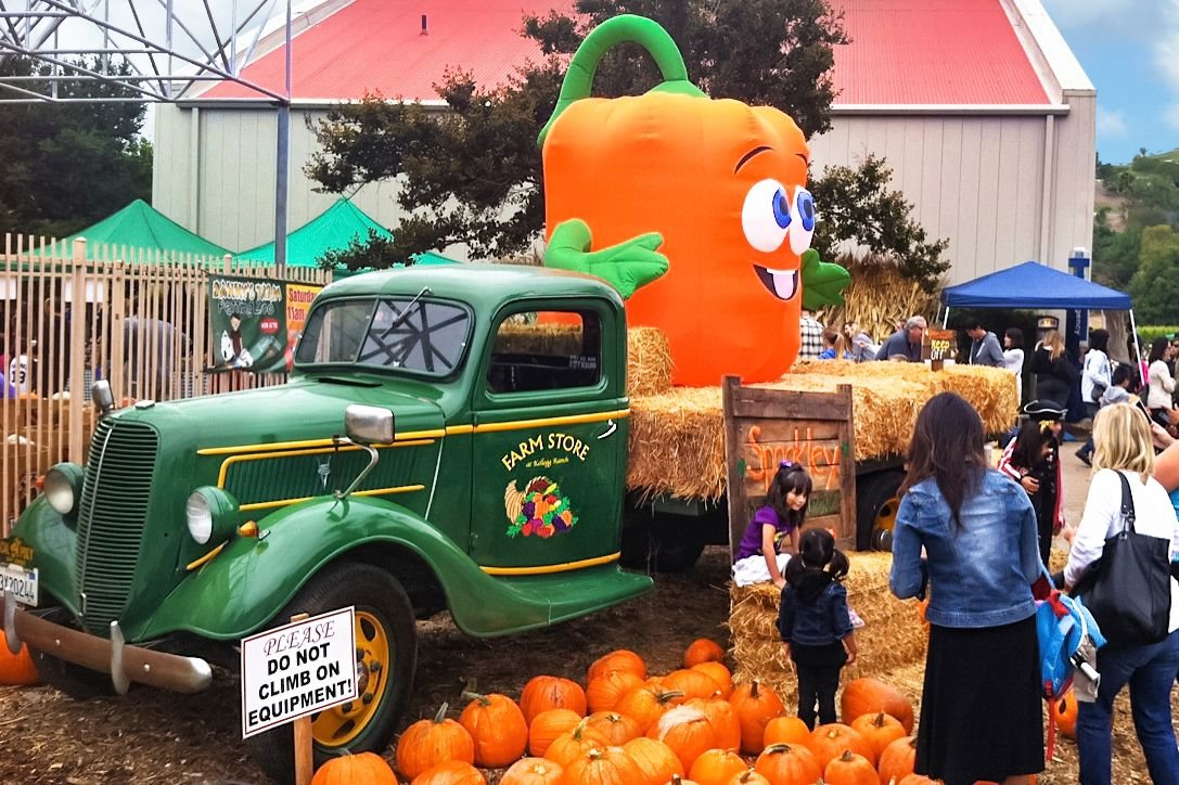 Celebrate Halloween with SPOOKLEY The Square Pumpkin - Memorable Global ...