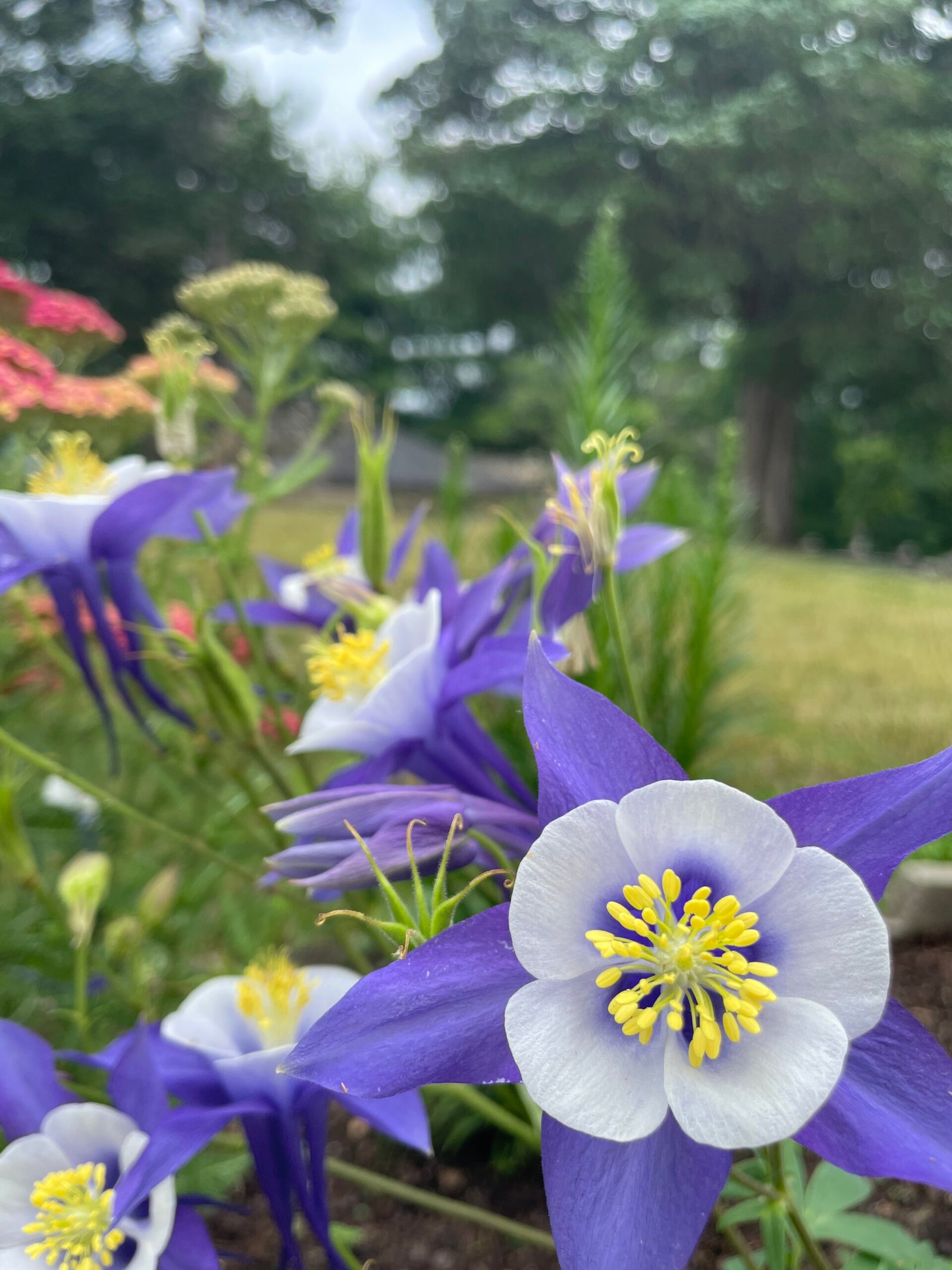 Gillette Castle a Fairy-Tale Adventure Amidst Castles in CT