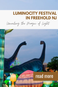 Luminocity Festival Experience in Freehold NJ