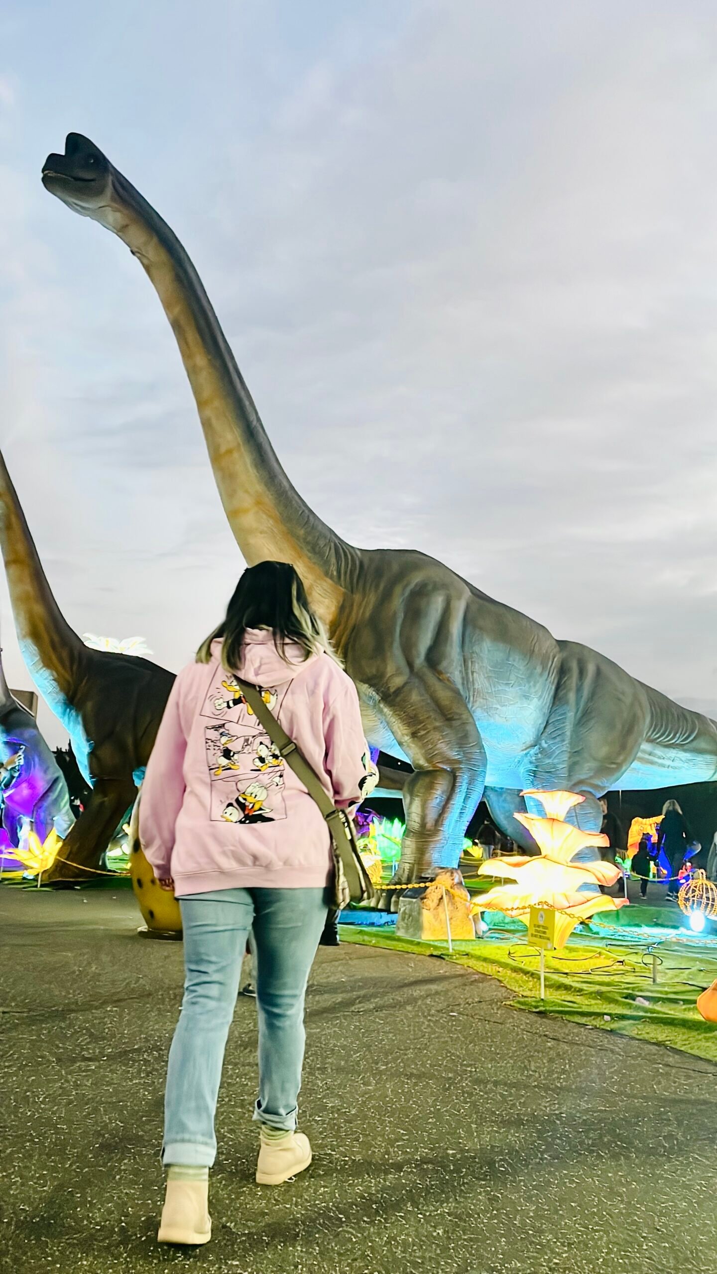 Luminocity Festival Experience in Freehold NJ