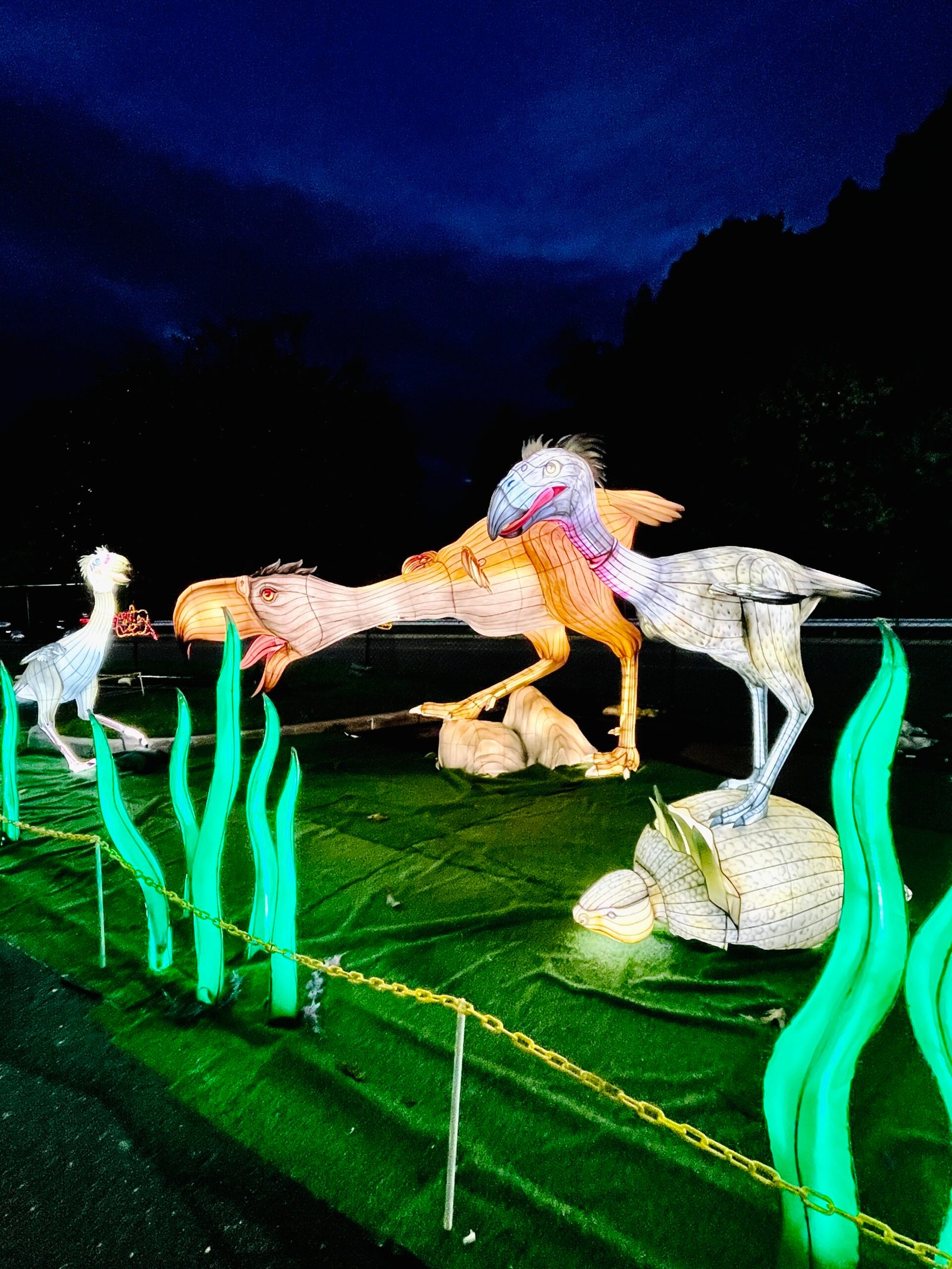 Luminocity Festival Experience in Freehold NJ