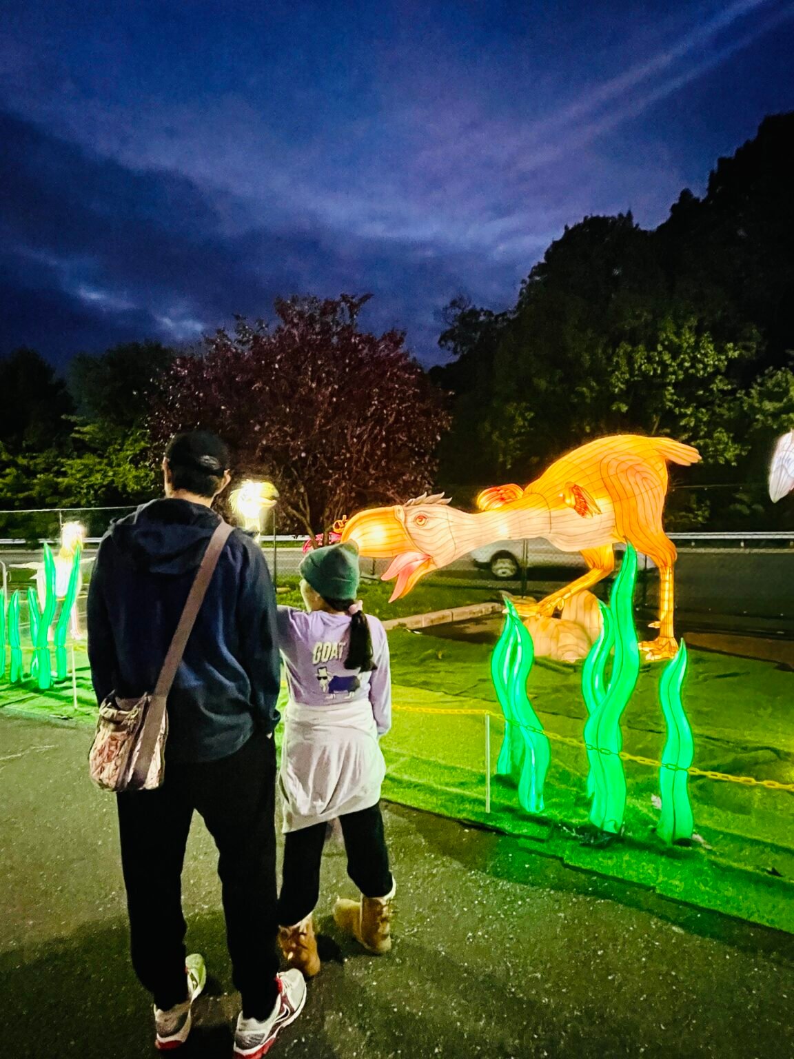 Luminocity Festival Experience in Freehold NJ