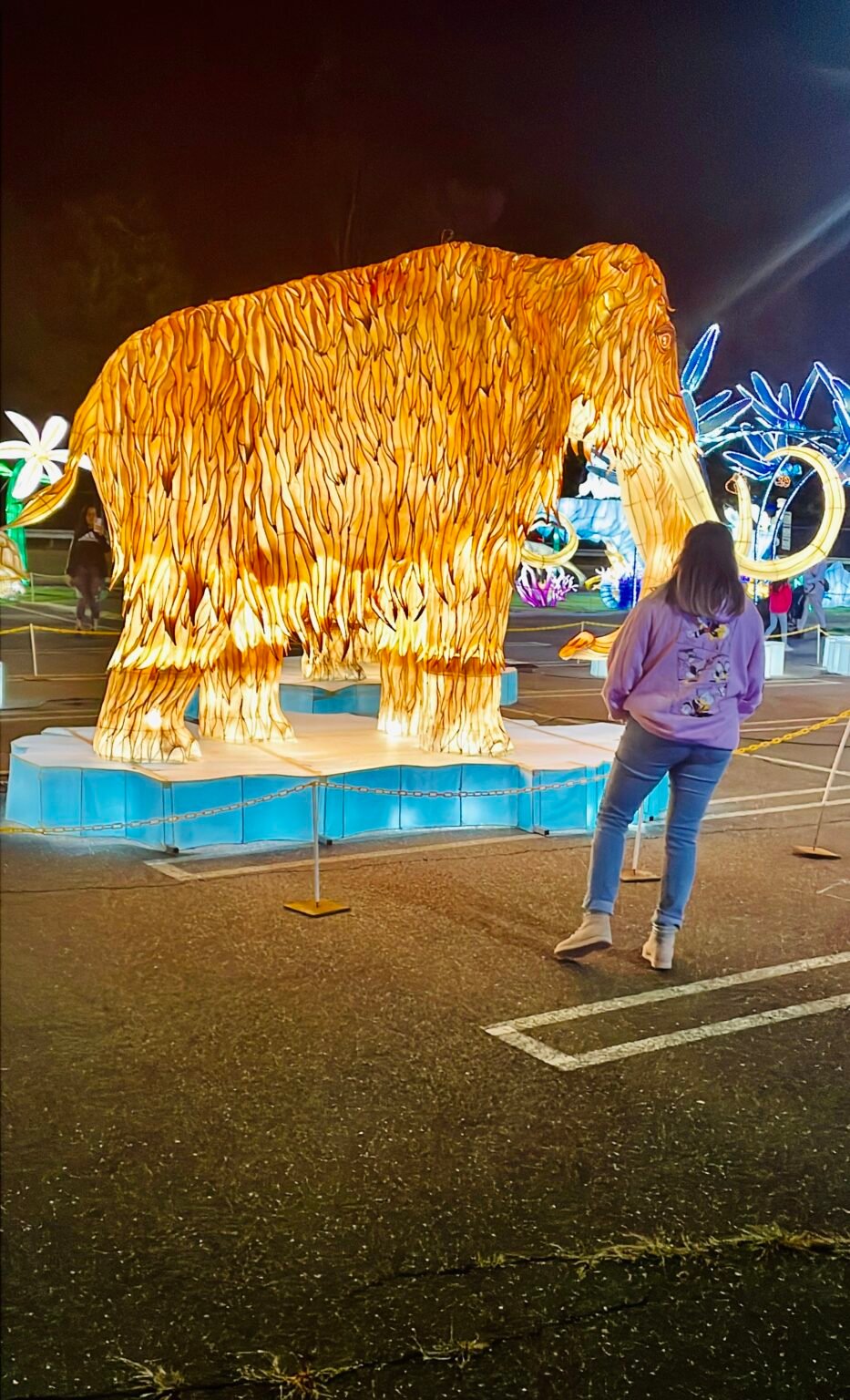 Luminocity Festival Experience in Freehold NJ