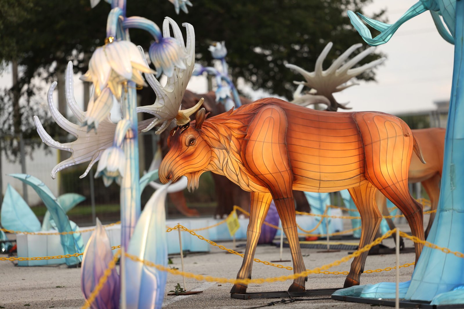LuminoCity Dino Safari Festival- For The Love To