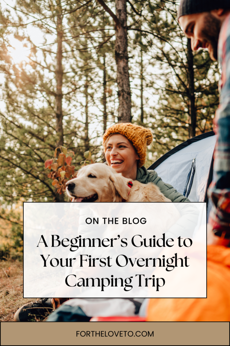 A Beginner’s Guide to Your First Overnight Camping Trip - For The Love To