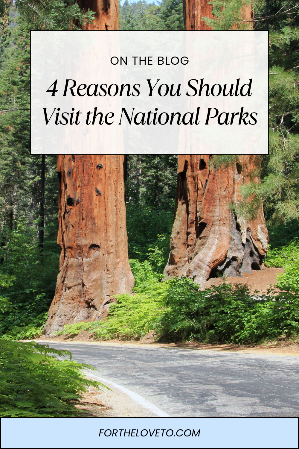 4 reasons to visit America’s national parks- For The Love To
