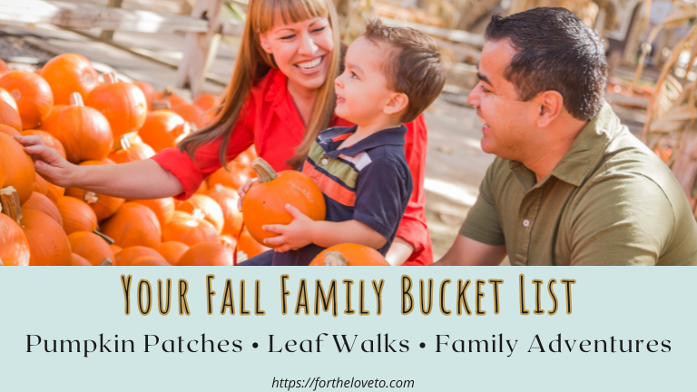 25 Fall Family Activities in New York + CAMP Discount- For The Love To